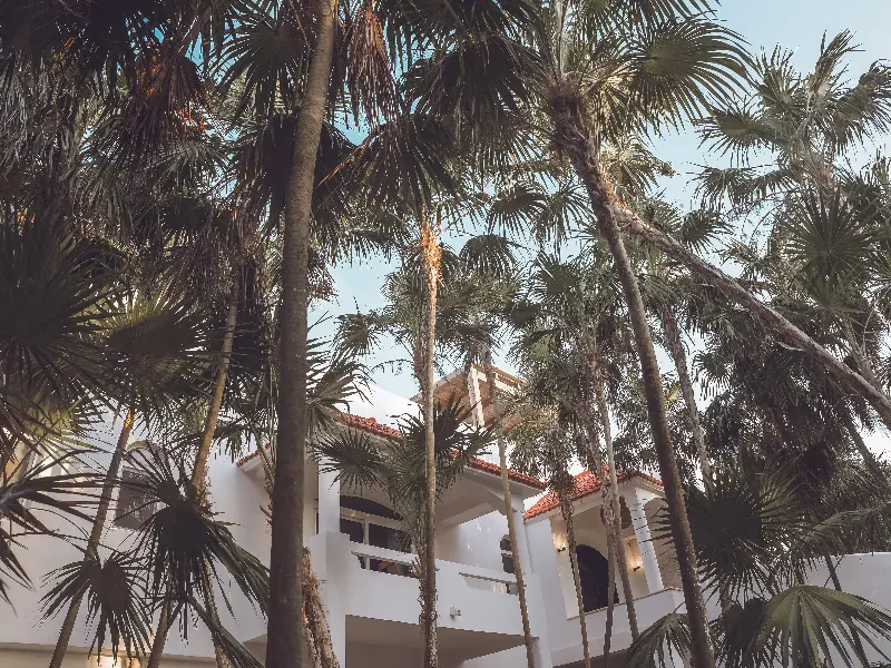 Paradise Villa on Riviera Maya's Untamed Shore with Rooftop Pool and ...